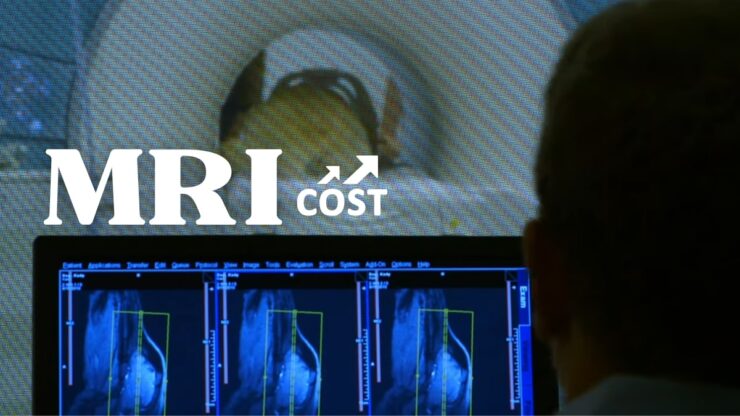 How Much Does a Dog MRI Cost? Understanding the Price of Canine ...